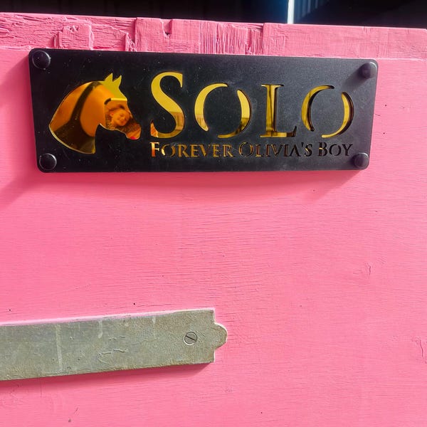 Horse Stable Name Sign, Classy New Laser Cut Designs Black With Gold ...