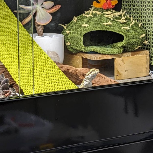 Natural Wooden Reptile Tunnel Hide. Vivarium & Terrarium Decorations ...