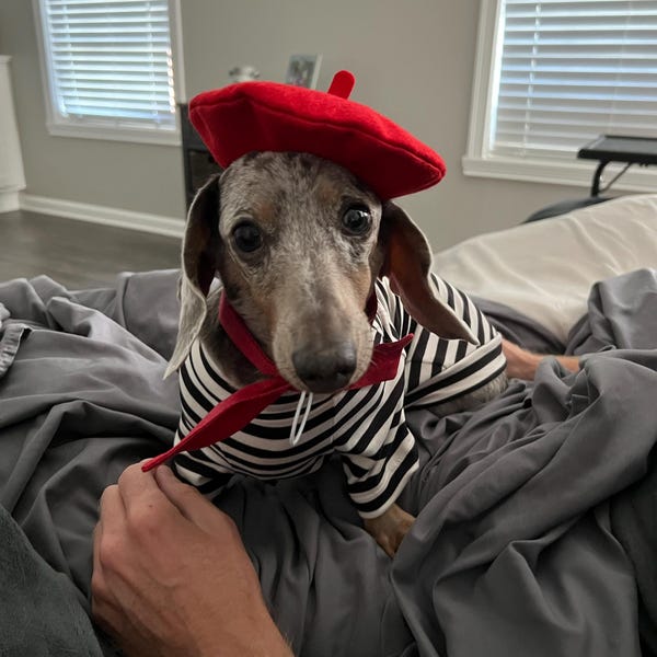 French Look Outfit Set - Pet Beret Hat, Red Scarf, Black White Striped ...