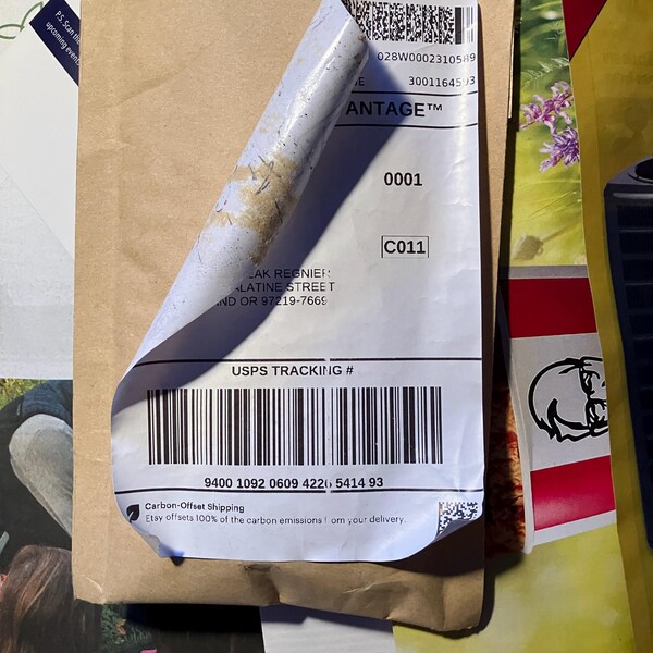 Checker/chocolate Lily (fritillaria Affinis) ~ 100 Seeds *pacific ...