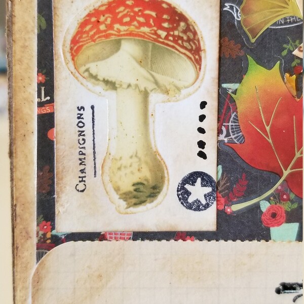85PCS Vintage Flowers Stickers Pack Set B, Translucent Flowers Sticker ...