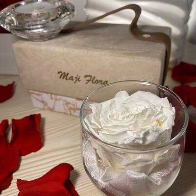 Small Single Luxury Velvet Gift Box-various Colors - Etsy