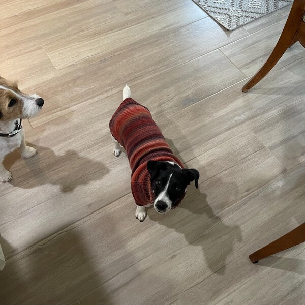 Stylish Knit Heart Dog Sweater Dachshund Sweater Dog Clothes Wiener Dog ...