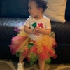 Barney Tutu Set, Barney Tutu, Barney Birthday Outfit, Barney Birthday ...