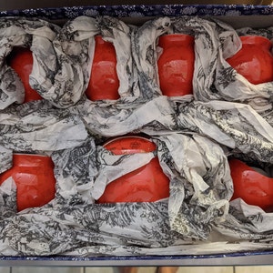 Travel Gong Fu Chinese Tea Set Bird Flower - Etsy