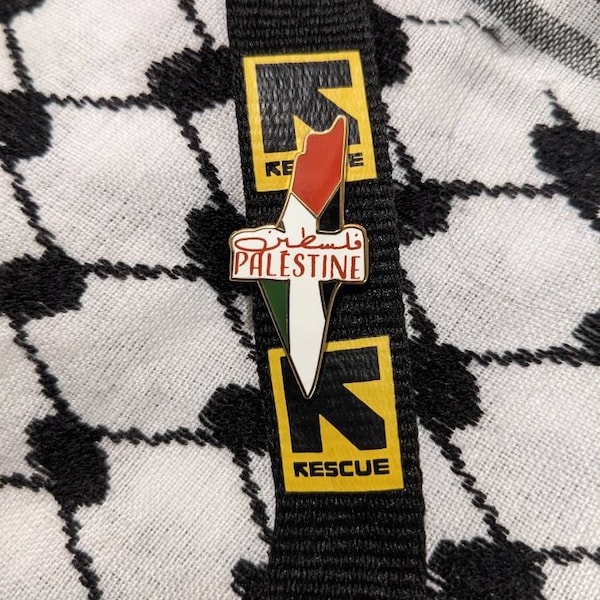 Palestine Lapel Pin Palestinian Pin Palestinian Flag Pin Badge ...