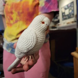 Blue Quaker Parakeet Realistic Amigurumi Plush Quaker Stuffed - Etsy