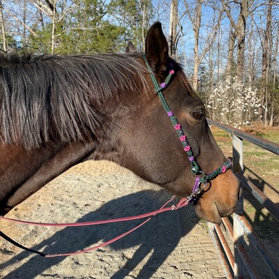 Sunflower Paracord Bitless Bridle, Sidepull Attachment. - Etsy