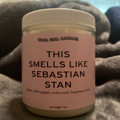 This Smells Like Sebastian Stan Candle Pop Culture Candles Celebrity ...