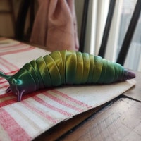 Rainbow Slug Large | 3D Printed Slug | Multicolor Slug Slinky | Fidget ...
