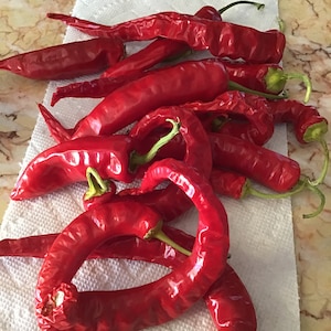 Guindilla Pepper Heirloom the Famous Basque Region Pepper Premium Seed ...