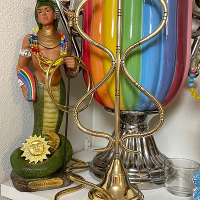 Large Rose of Jericho Resurrection Plant Rosa De Jerico Reviving House ...