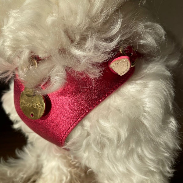 Leather Harness for Small Dogs. Chihuahua, Yorkshire Terrier, Maltese ...