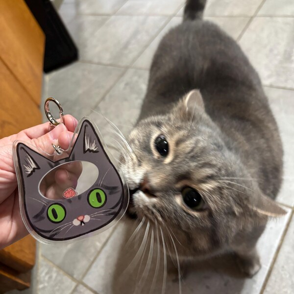 Biting Kitty Clips - Cat Journaling Clips - Cat Chip Clips - MAGNET ...