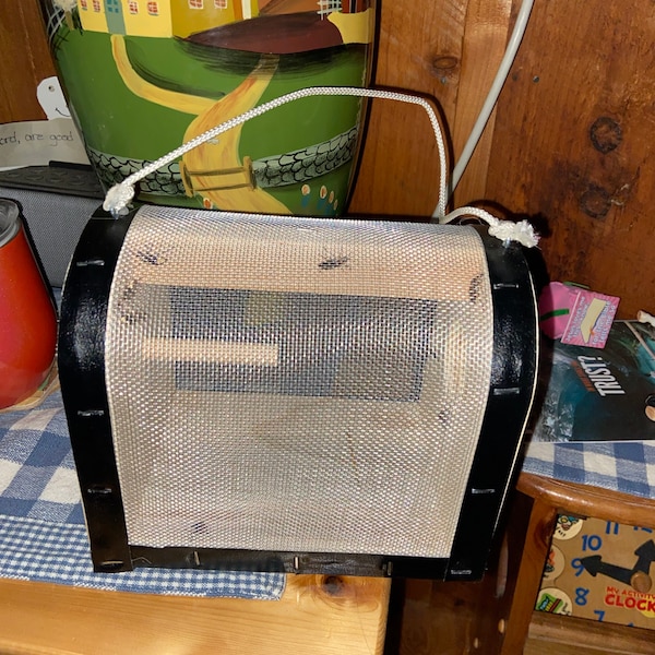 LARGE Wooden Bug Box, Critter Cage, Bug House, Bug Catcher, Wooden ...