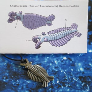 Plate Tectonics Keychain Geology Science Gift - Etsy