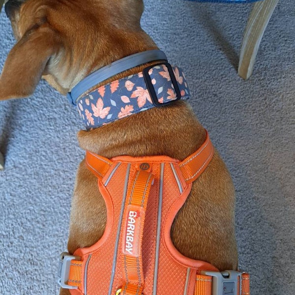 Fall Dog Collar, Autumn Dog Collar, Embroidered Dog Collar ...