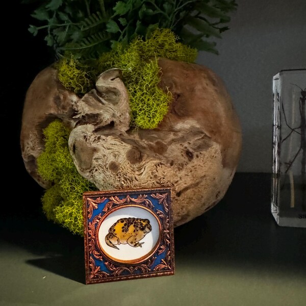 Tiny Framed Toad Print - Etsy