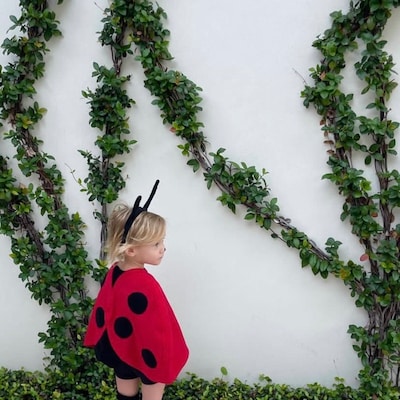 Ladybug Costume, Toddler Girl Halloween Costume, Ladybird Red Cape ...