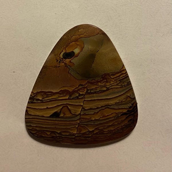 Grasshopper ? Larva - Nematode Worm Parasite - Fossil Plate - Etsy