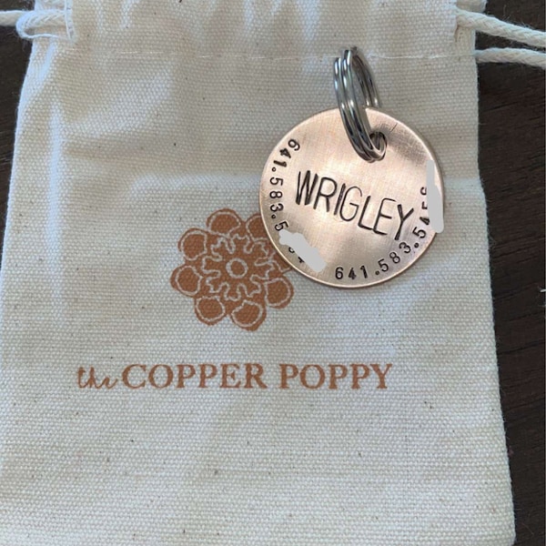 Custom Dog Tag / Custom Pet ID Tag - Lucy - in 1.25'' Domed Bronze ...