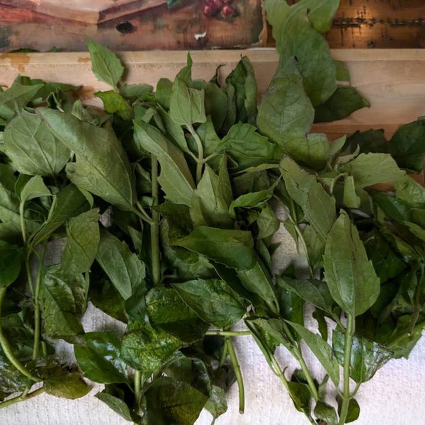 Coleccion De Oraciones Escogidas SPANISH Allan Kardec Ancestor Worship ...