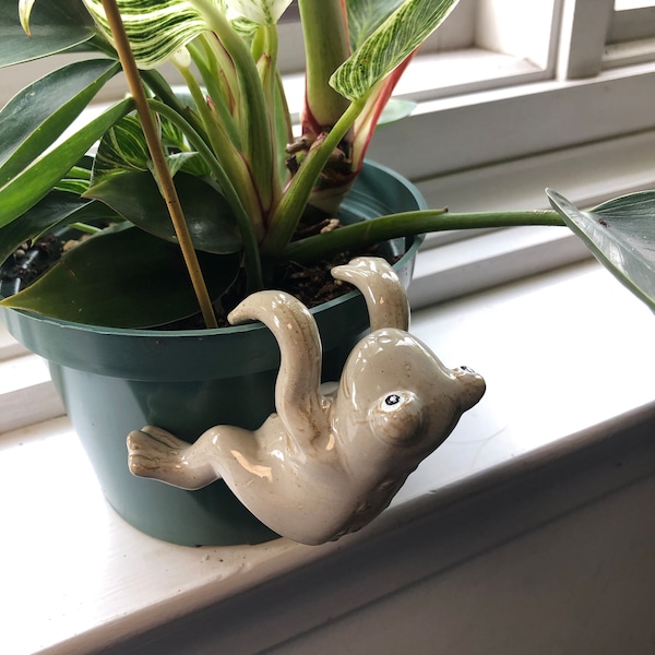 Frog Pot Hugger for Succulent Planter • Gardening Gifts • Outdoor Decor ...