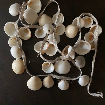FLORIDA Native 50 Necklace Pod Plant Seeds Drought - Etsy