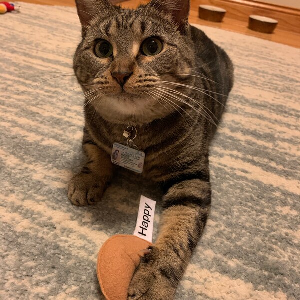 Fortune Cookie Cat Toy, Catnip, Handmade Cat Toy, Custom, Felt Cat Toy ... Fortune Cookie Cat Toy, Catnip, Handmade Cat Toy, Custom, Felt Cat Toy ...