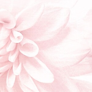 Dark Wall Art Fish Print Nautical Prints Black Background | Etsy