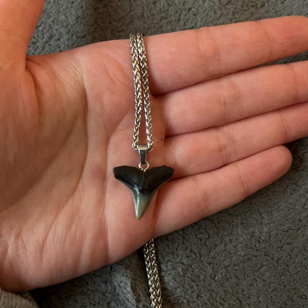 Women Lava Rock Gemstone Fossil Shark Tooth Necklace - Etsy