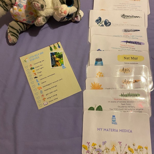 The 50 States Unit Study Cards, Homeschool, United States Study , Flash ...