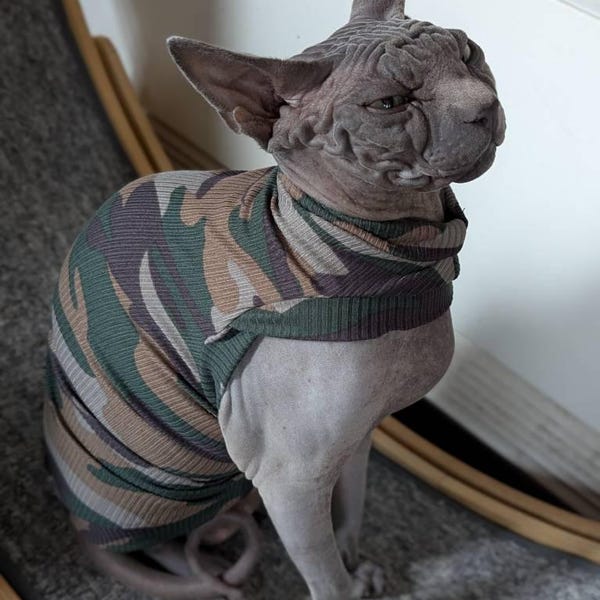 Long Sleeve Sphynx Cat Shirt Sphynx Sweater Hairless Cat Clothes Sphynx ...