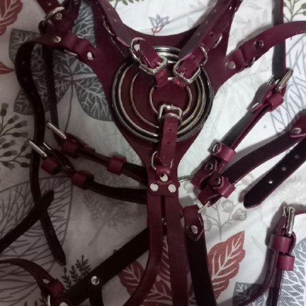 Plus Size Harness Chest, Full Body Harness Bdsm, Open Cup Bra, Leg ...
