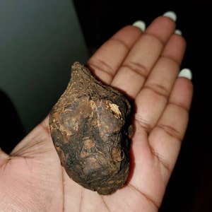 Cascarilla Powder efun/ Eggshell Powder tracking Number Included TWO ...