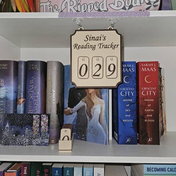 Hanging Bookshelf Counter Bookish Decor Books Read This Year Counter up ...