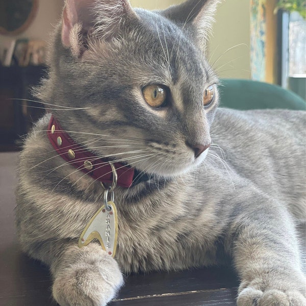 Star Trek Picard Number 1 Pet Tag - Etsy