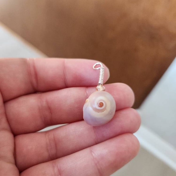 Shark Eye Shell Mermaid Necklace. Seashell Necklace. Shell Jewelry ...