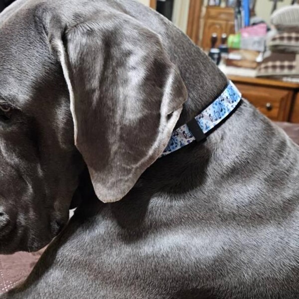 3 Yards of 7/8" Ribbon - Squirrels and Mushrooms #11500 - Decorative ...