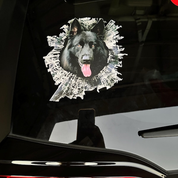 Custom Window Sticker, Laptop Sticker, Funny Decal, Pet Decal - Etsy
