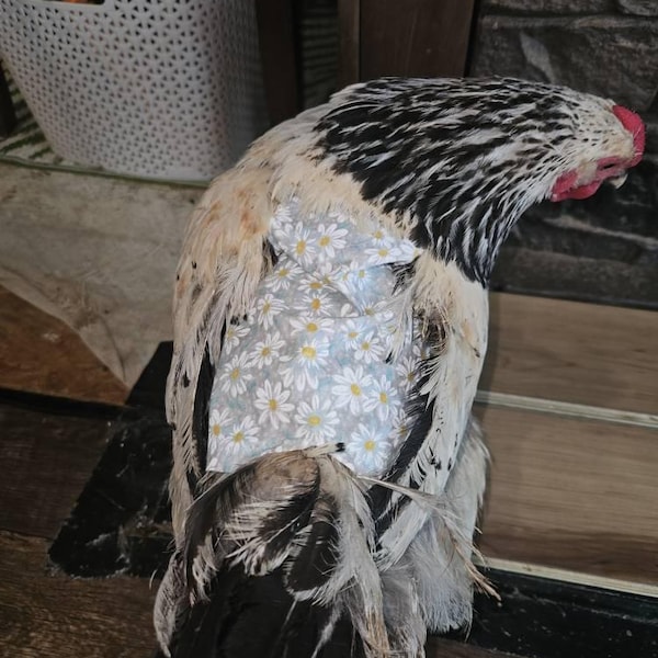 Chicken Diapers/ Hen Diapers/ Birds Diapers/rooster Diaper - Etsy