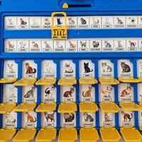 Anne With an E - Printable Guess Who? | Print at Home | Digital ...