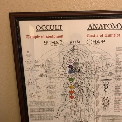 Occult Anatomy 2020 Large Occult Poster 24x36 Occult - Etsy