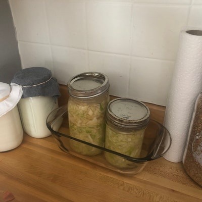 Masontops Pickle Pebble Glass Infinity Weights for Fermenting Pickling ...