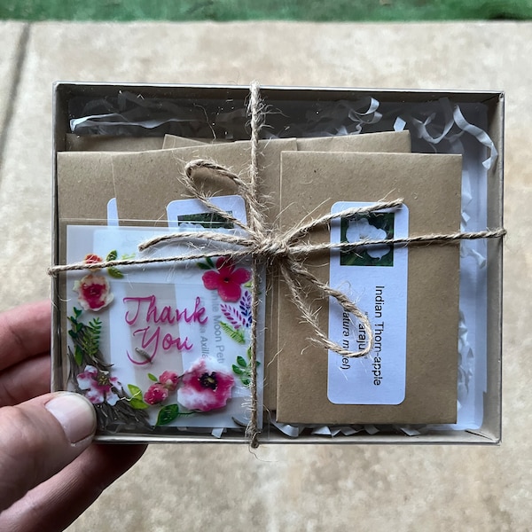 Love Parade Yarrow | Achillea Sibirica Var. Camtschatica | Lovely ...