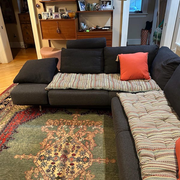 Furniture Protector, Sofa Topper, Linen Couch Cover, for Dogs and Cats ...