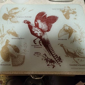 Pair of vintage Chromolithographs by Monteague of Native | Etsy