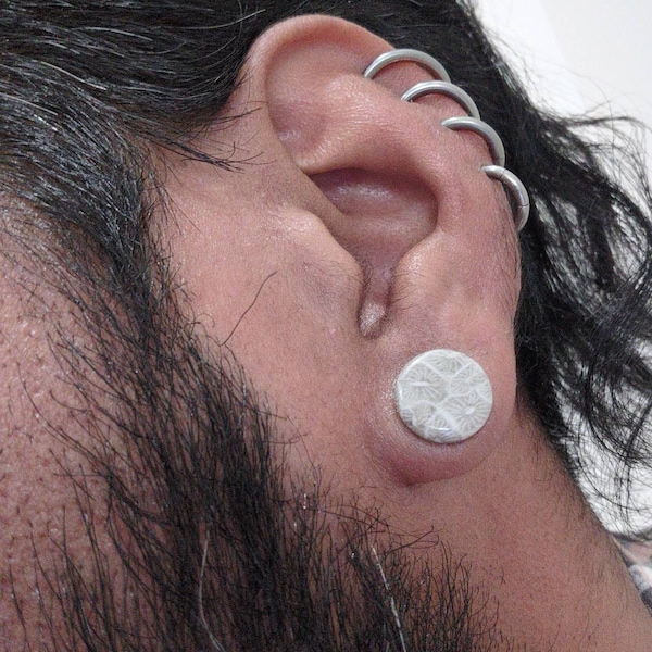 30mm Crinoid Fossil Double Flare Plugs Made by Austin Plug & Tunnel Co ...