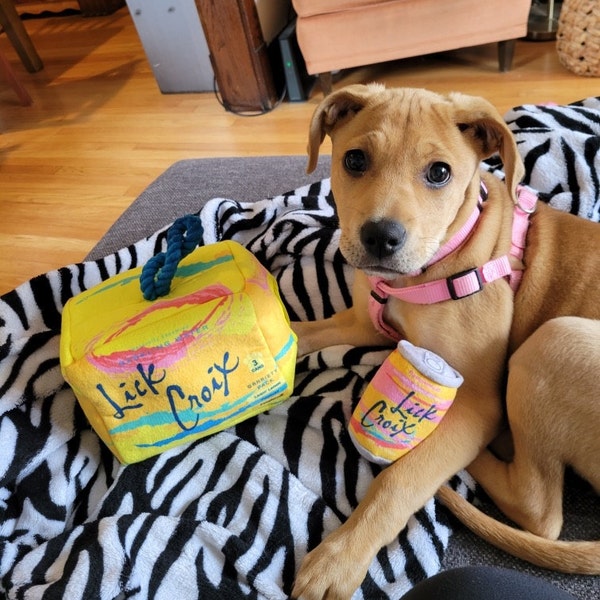 Tipsy Mutt Dog Treat Gift Box Human Grade, Handmade and Decorated Dog ...