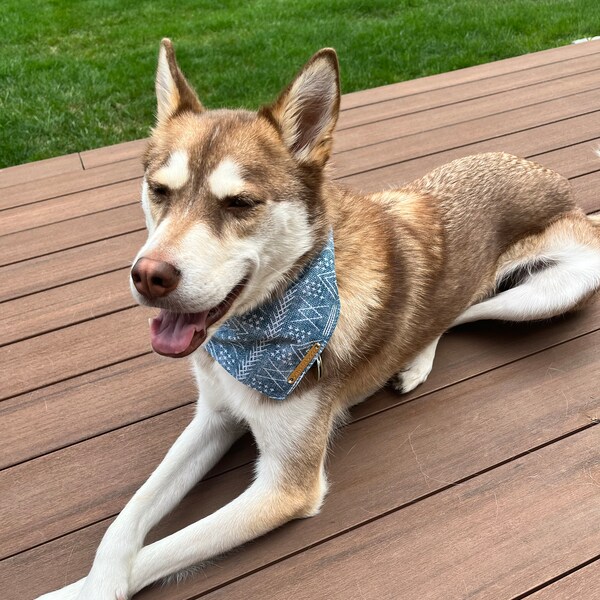 Chambray Pumpkin Bandana // Harvest, Pumpkins // Khaki, Orange ...